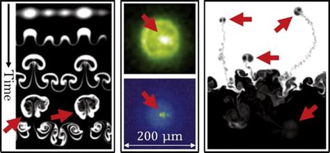 Demystifying Vortex Rings In Nuclear Fusion And Supernovae Lifeboat