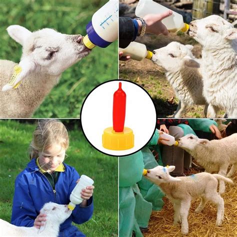 Goat Milk Feeding Nipples At ₹ 50 Piece Nipple Drinker In Bengaluru