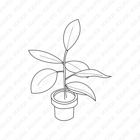 Axonometric Isometric Indoor Plants Set Free Now Post Digital