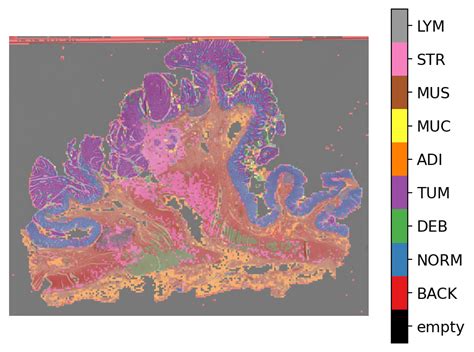 Patch Prediction Models Tia Toolbox 160 Documentation