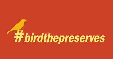 Be A Better Birder Intermediate Bird Id In River Forest At Cook