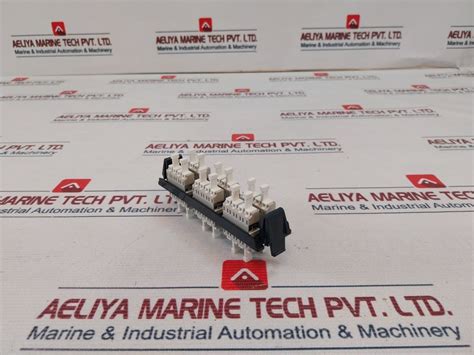 Siemon Fiber Adapter Aeliya Marine