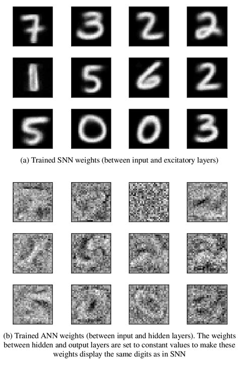 Visualized Snn And Ann Weights Snns And Anns Take Weights Differently