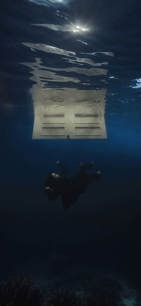 Expanded Version Of Hmhas Album Cover Rbillieeilish