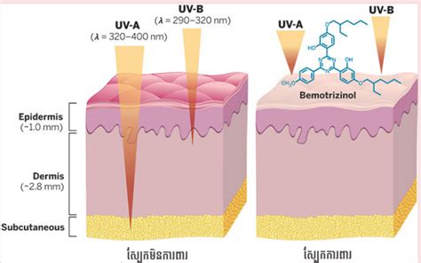 uva vs uvb understanding the differences and importance of sun protection