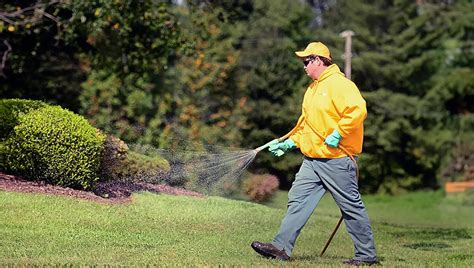 Lawn Care And Weed Control Amarillo Tx The Grounds Guys