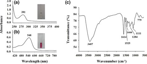 A Uvvis Spectrograms Of Ucts And B Their Alcoholytic Products