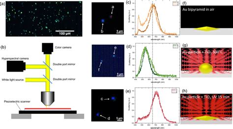 Hyperspectral Microscopy Analysis Of Plasmonic Particles Covered With