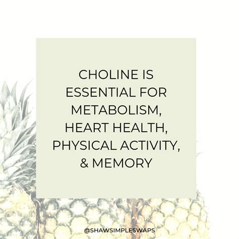 Choline Sources Functions And Why Its Necessary For Ttc