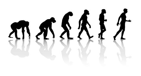 Theory Of Evolution Lamarckism And Darwinism Science Vision