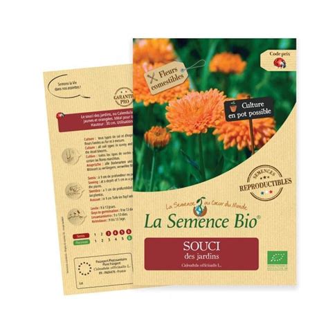 Souci Calendula Officinal Green Gardium