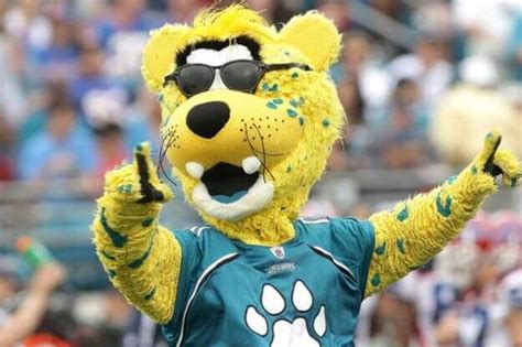 10 Most Famous Florida Mascots Authentic Florida Mascot Jaguars