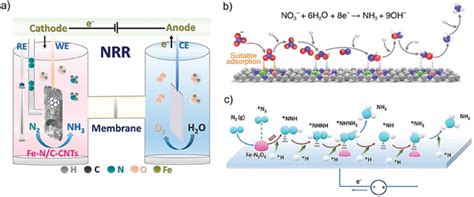 Scheme Of The Nitrate Reduction Reaction Setup A H Cell Reproduced