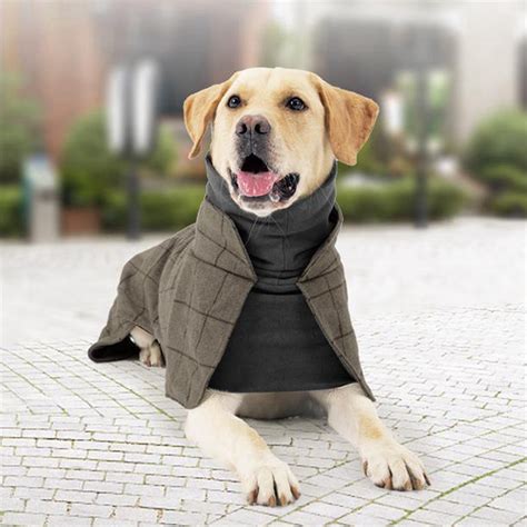 Straightening Flat Comb Flat Comb Straight Comb Flat Comb Use With