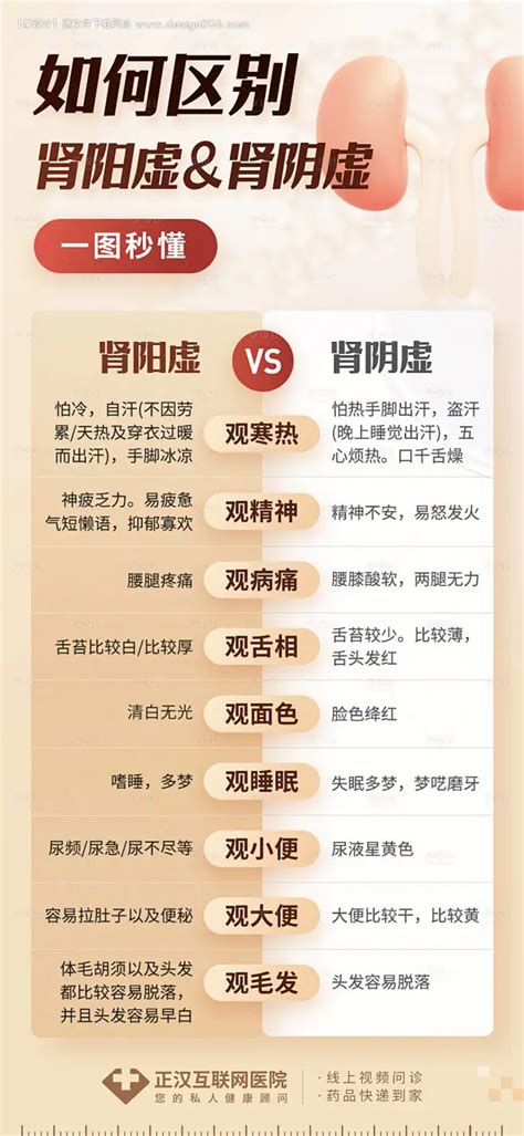 肾阳虚肾阴虚对比图海报 源文件下载 花瓣网
