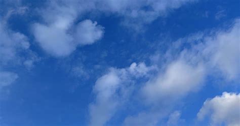 すずのこどもとえほん｜note