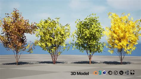 3d Maple Tree Asset 3d Model Turbosquid 2290230