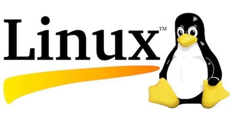 Ya No Necesitarás Emuladores Linux Ejecuta El 90 De Los Juegos Compatibles Con Windows 10