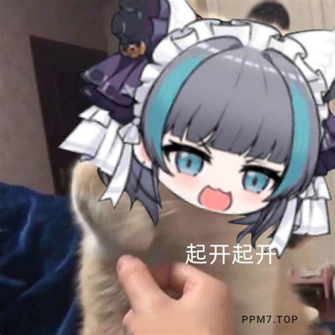 表情包：柴郡猫咪表情包 知乎