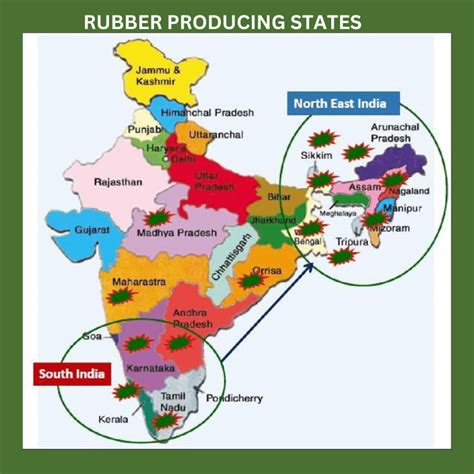 Rubber Industry Clearias