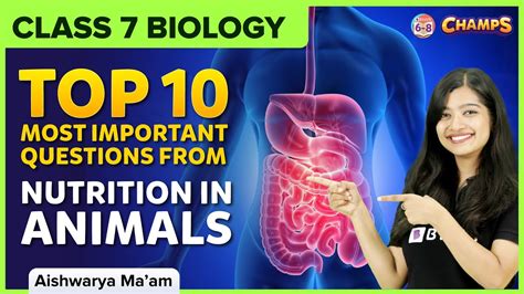 10 Most Important Questions From Nutrition In Animals Class 7