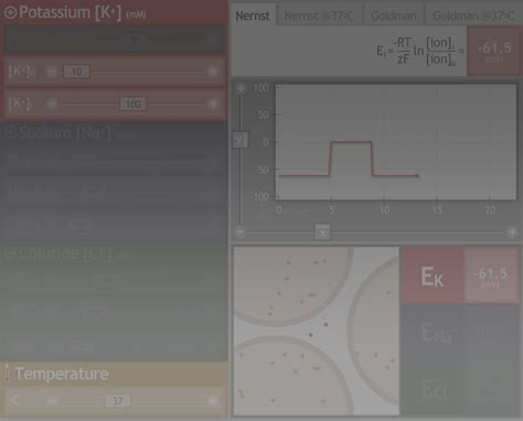 Teaching Spotlight Nernstgoldman Simulator — Azps