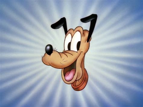 Pluto Title Card Classic Disney Disney Cartoons Walt Disney Cartoons