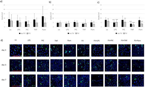 Phagocytosis Primary Porcine Rpe Cells Were Treated With 50 μgml Fv