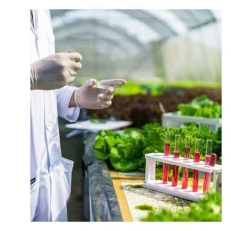 Nutritional Value Testing Service At ₹ 1500sample In Indore Id