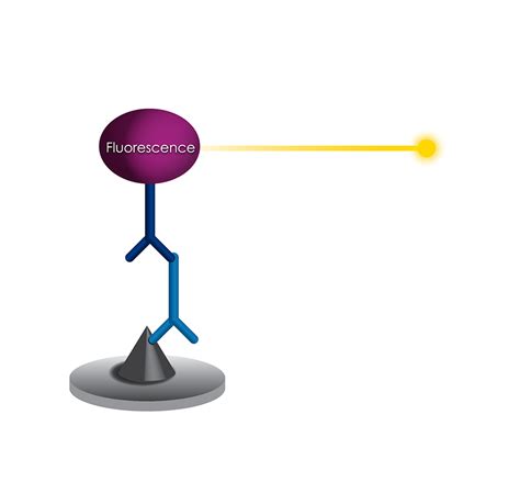 Phosphor Imager Azure Sapphire Azure Biosystems