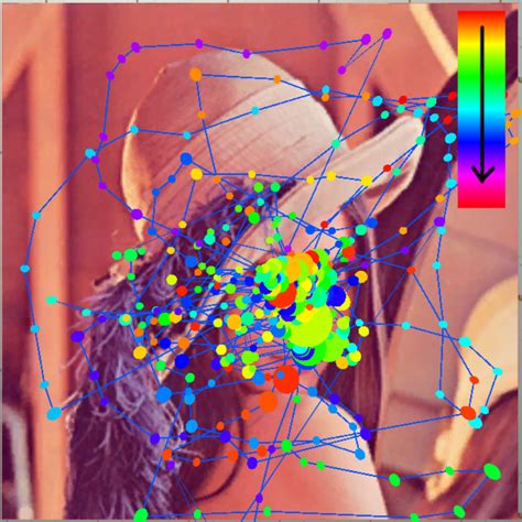 Github Gatosyocora Fovegazeplotsample