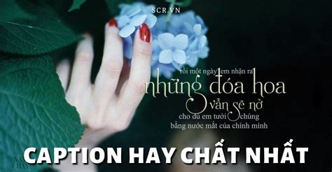 Tổng hợp stt về mẹ và con trai mới nhất SESOMR