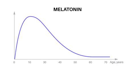 Premium Vector Melatonin Graph Dependence From Years In The Human