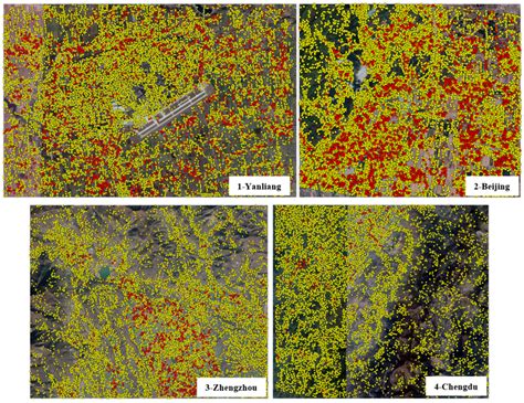 The Distribution Of The Putative Cps Yellow Dots And Pseudo Ground Download Scientific