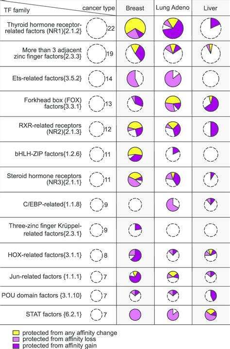 Transcription Factor Binding Motifs Protected From Somatic Mutations In