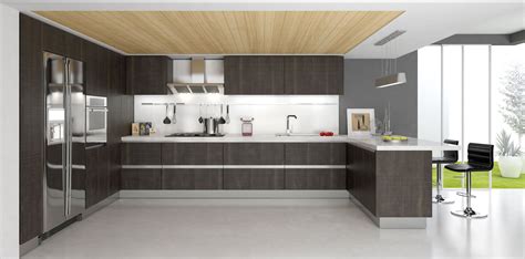 Types Of Modern Kitchen Cabinets