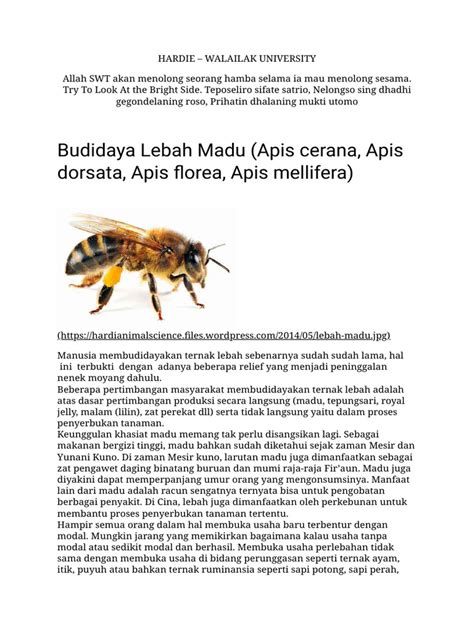 Budidaya Lebah Madu Apis Cerana Apis Dorsata Apis Florea Apis