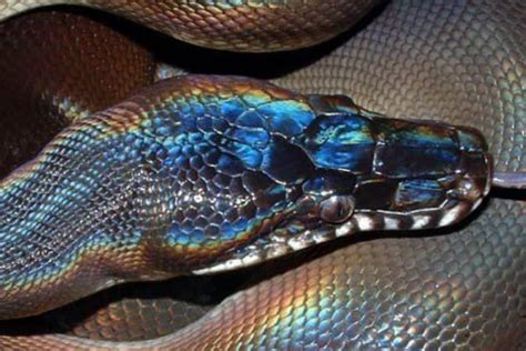 Microstructures To Achieve New Material Properties Atria Innovation