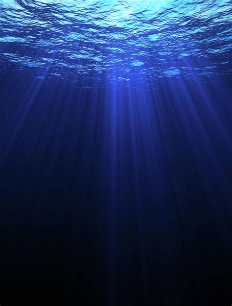 Deep Blue Sea Poster