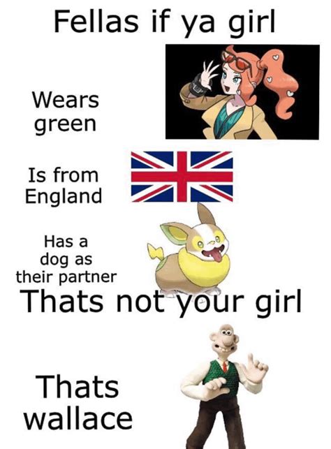 Wallace And Gromit Meme Pack R Wallaceandgromitmemes