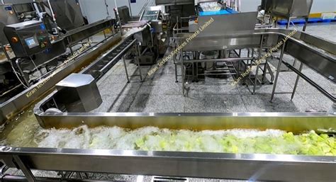 Automatic Ss And Ss Vegetable Processing Plant 2 Tph To 500 Tph At Rs 27000000 Piece In Coimbatore