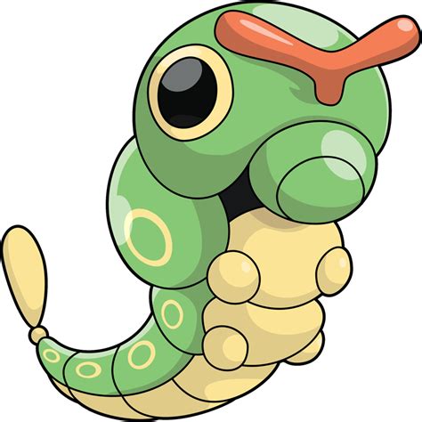 Caterpie Pokemon Metapod Evolution Green Color Bug Type Basic