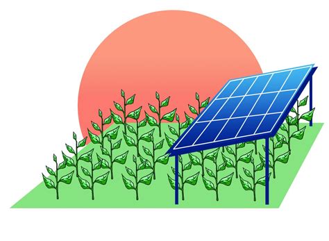 State Funding Enables Cornell To Research Solar Farming For Sustainable