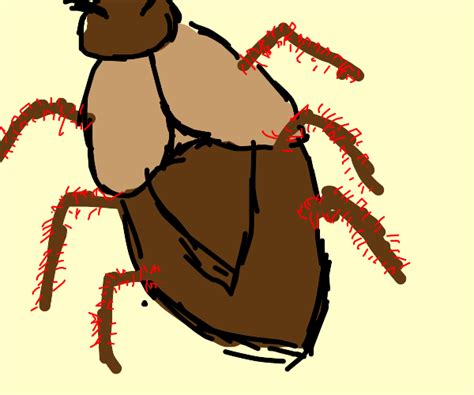 Cockroach Drawception