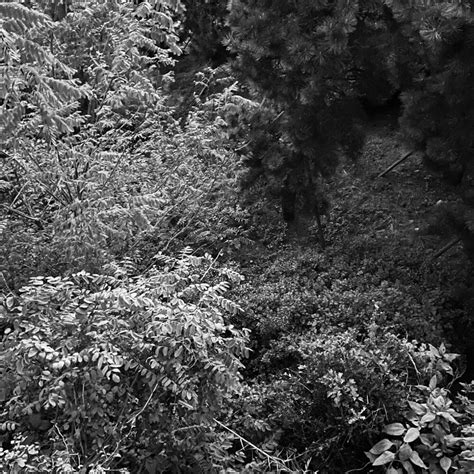 ‎mohos Profile • Letterboxd