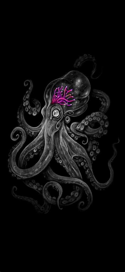 Octopus Wallpapers 24 Images Wallpapercat