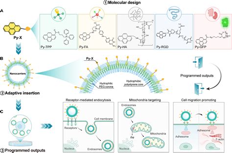 Activating Peg Host To Enable Spatially Controlled Surface