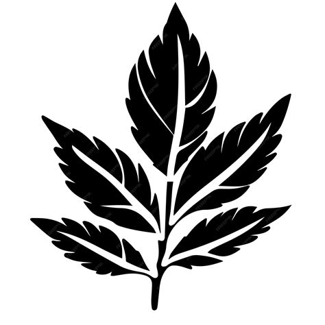 Premium Vector Tulsi Black And White Vector Template Set For Cutting