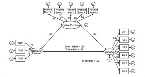 Mediated Structural Equation Model For Optimism Over Bmslss Through
