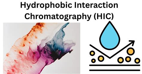 Hydrophobic Interaction Chromatography Hic